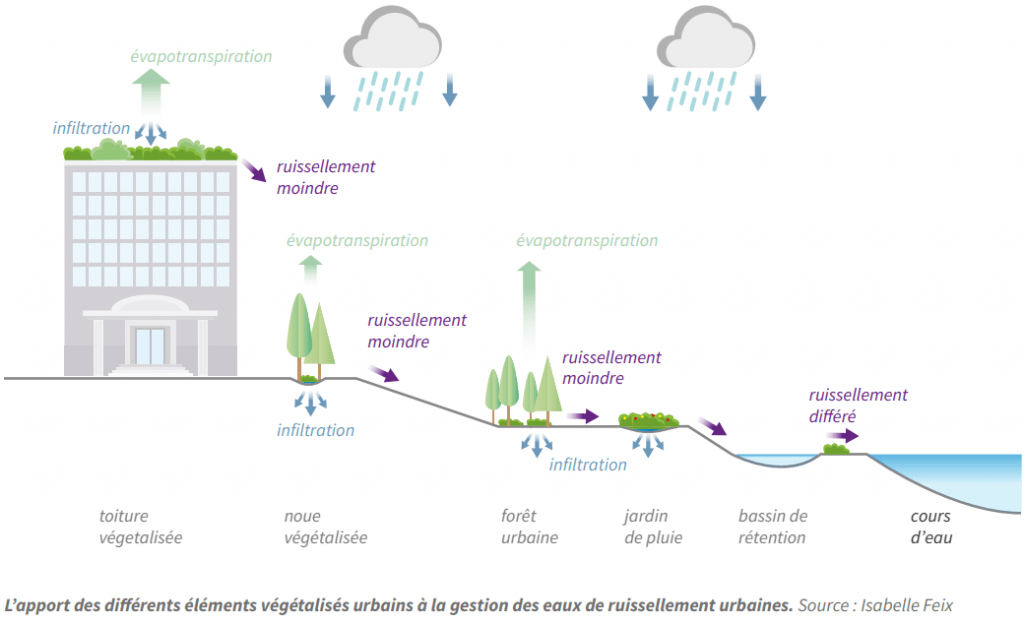 Ruissellement de surface : solutions à coefficient de ruissellement nul