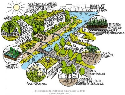 Nomenclature de l'artificialisation des sols et Objectif ZAN