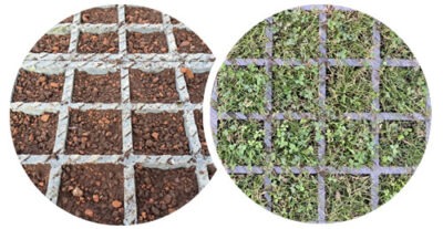 Dalle végétalisée O2D MOSS : parking perméable en milieu aride