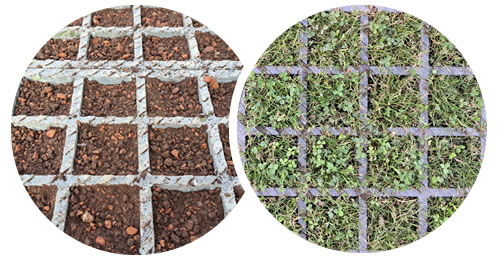 Dalle végétalisée O2D MOSS : parking perméable en milieu aride